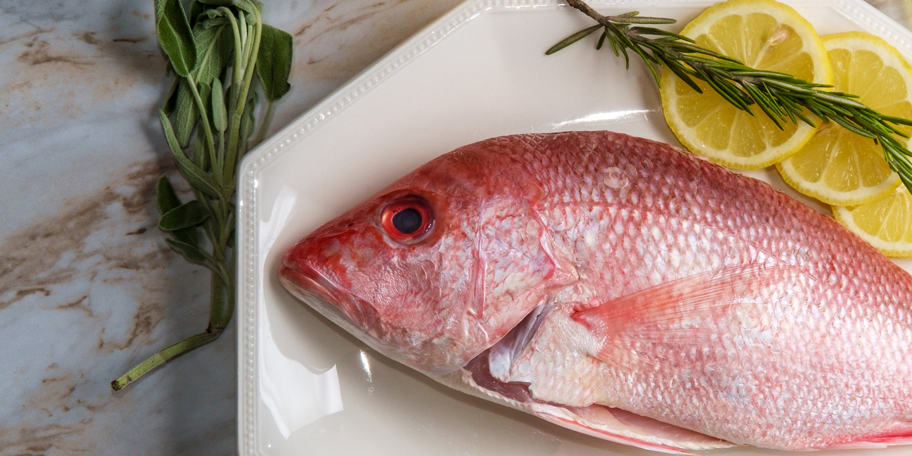 Buy Fresh Fish, Fillets & Portions - Same Day Delivery | FishMe ...