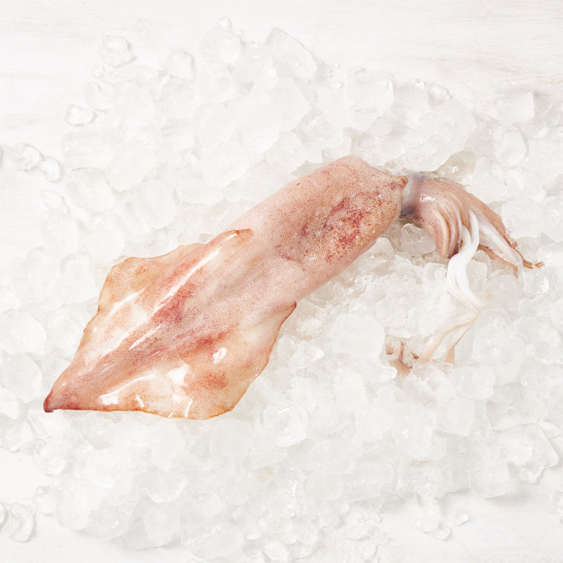 Whole Loligo Squid Small per 1kg (Frozen) - Same Day Delivery | FishMe ...