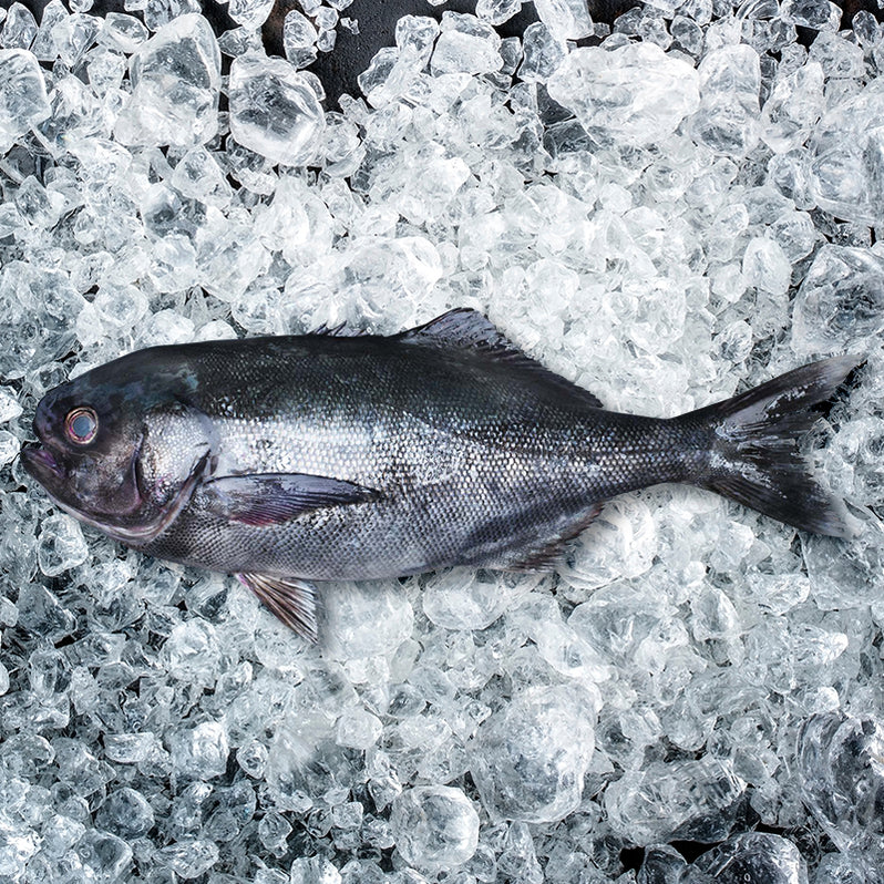 Wild-Caught Blue Eye Cod per kg - Same Day Delivery | FishMe — fishme ...