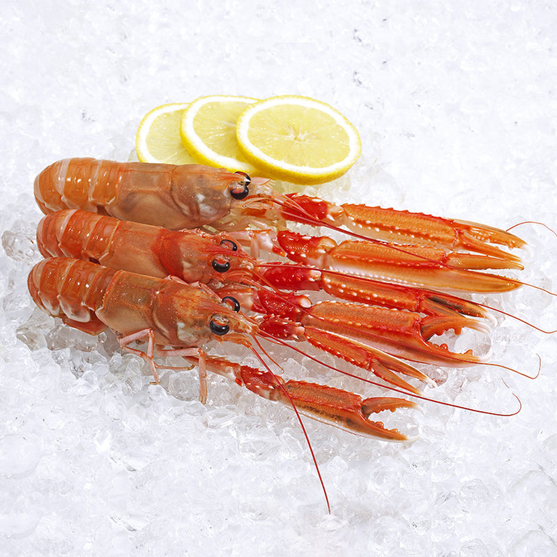 Buy Scampi - Order Seafood Online Online - Same Day Delivery | FishMe ...