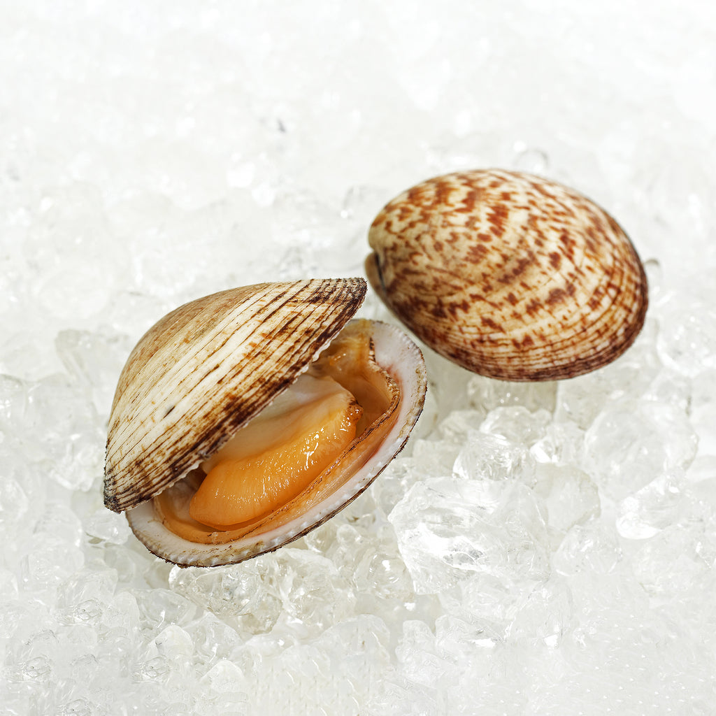 Buy Fresh Mussels, Scallops & Clams Online - Clams Seafood Delivery ...