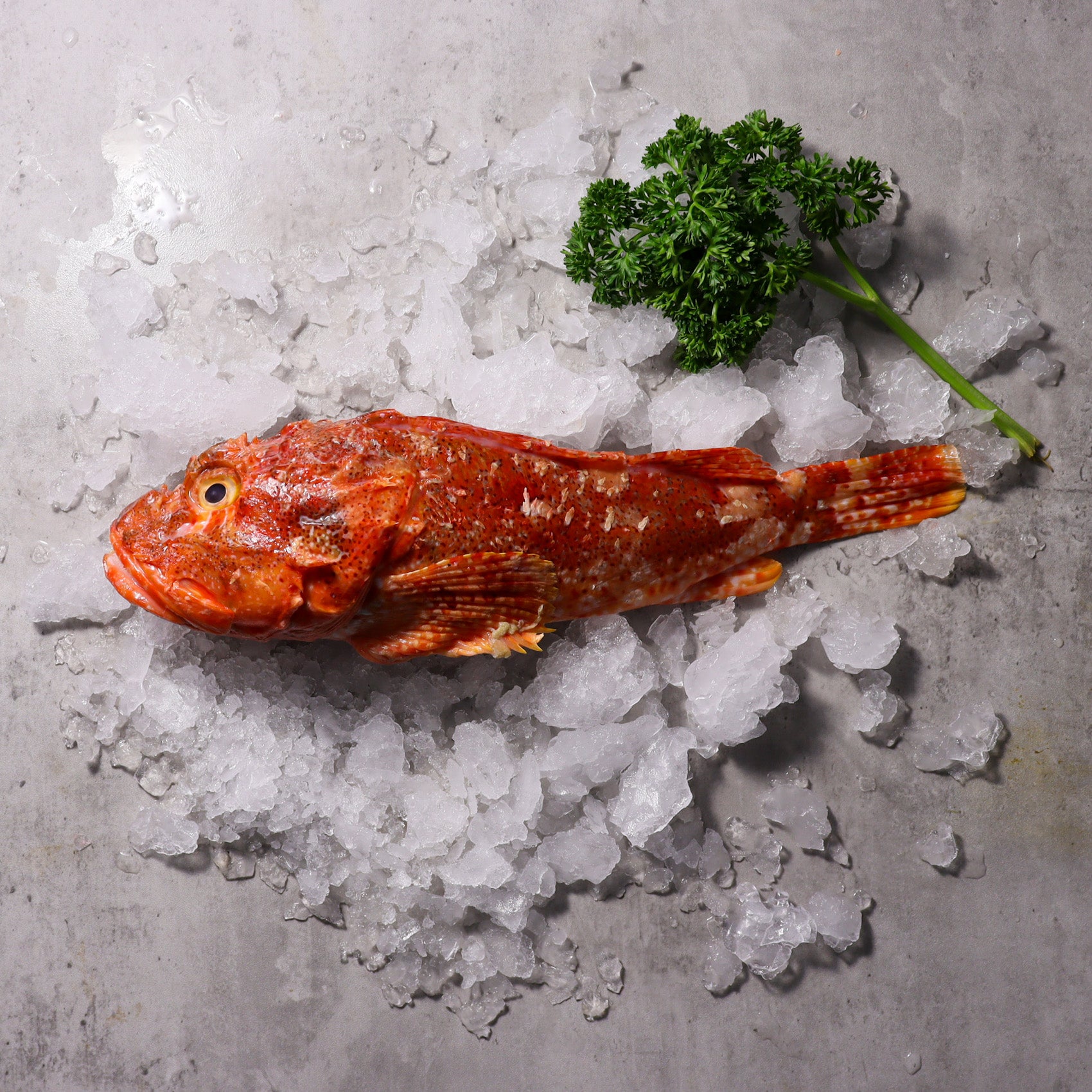 Buy Fresh Whole Fish Online | Fresh Whole Fish Delivery | Fish Me ...