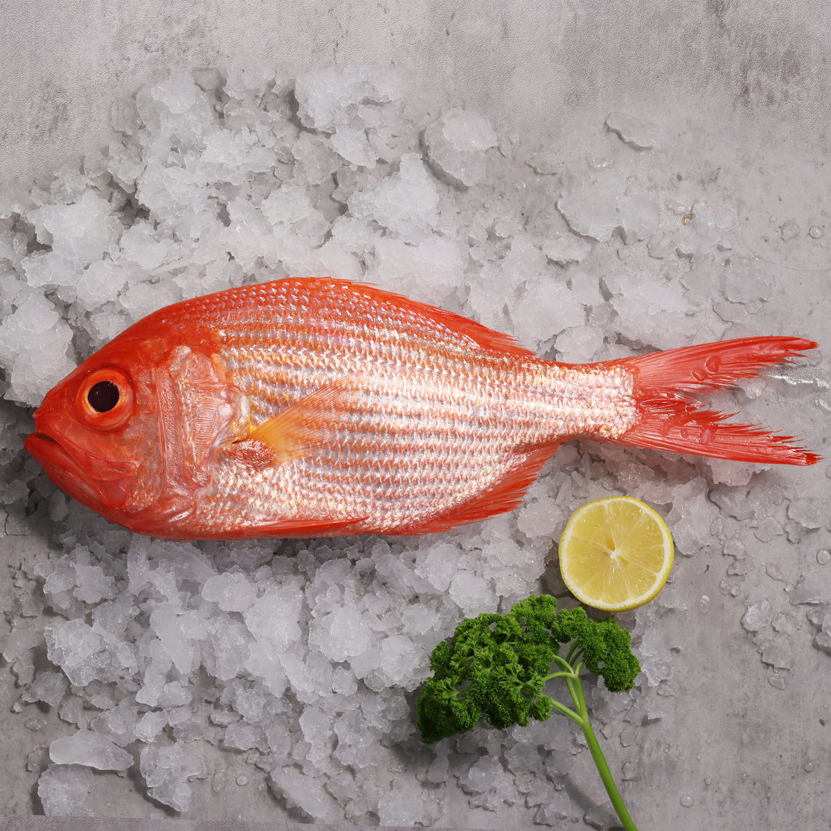 Fresh Red Snapper Whole (Cleaned)- Same Day Delivery|FishMe! — fishme ...