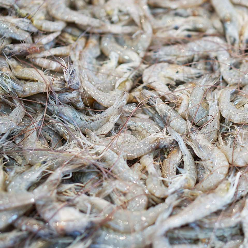 Australian School Prawns (Small) - FishMe! Sydney Seafood Delivery ...